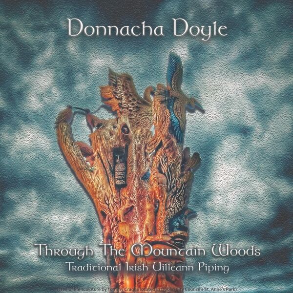 Donnacha Doyle - Through the Mountain — NPU Online Store